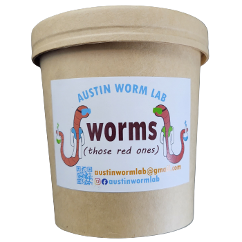 Composting Worms – Austin Worm Lab